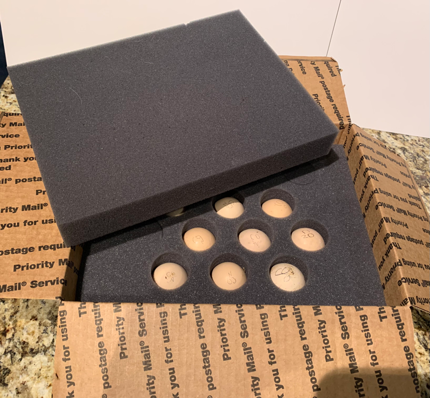 14 egg foam shipping kit (USPS Medium Flat Rate Box) | Southern ...